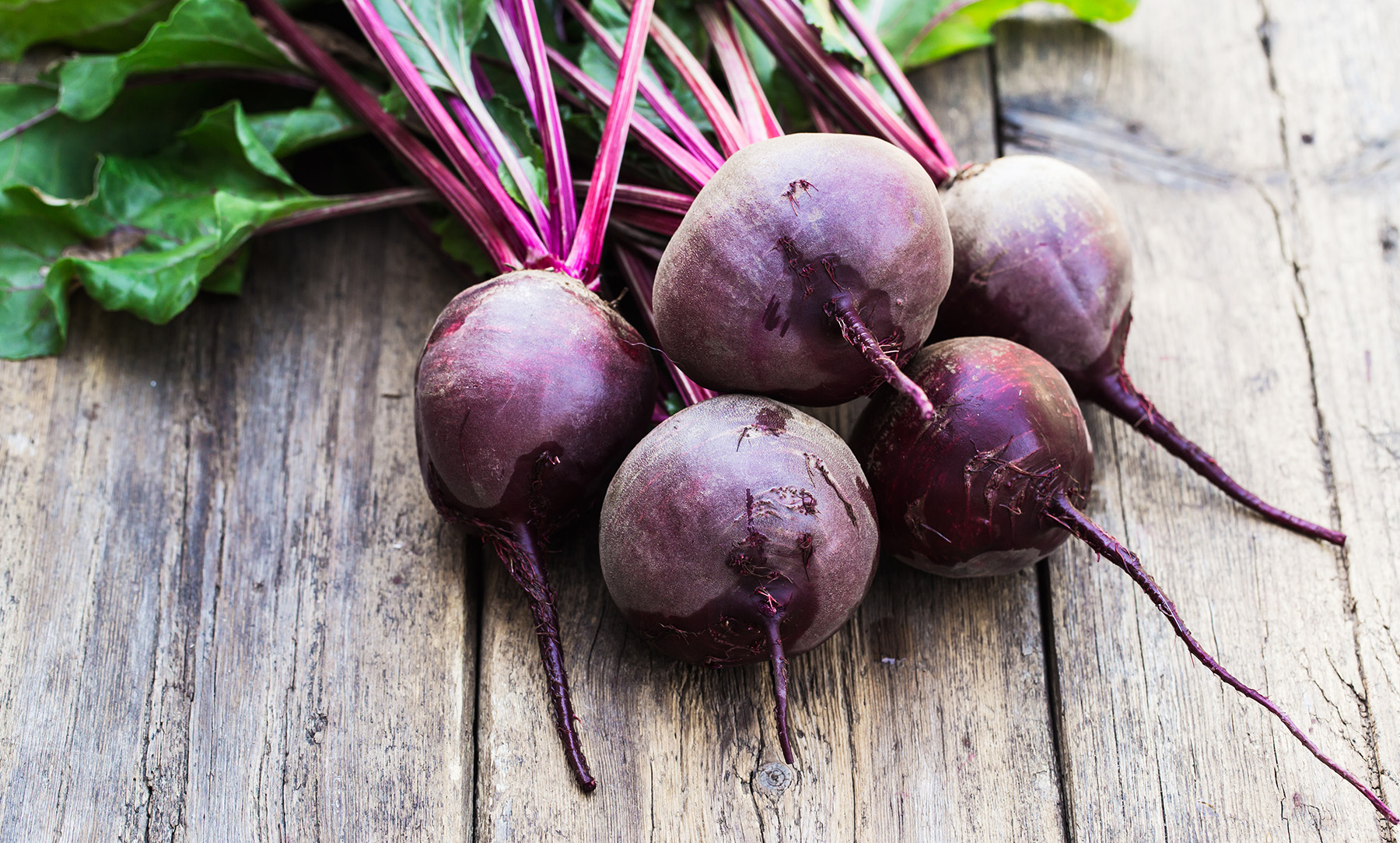 Sapphire Laguna - Sapphire Laguna